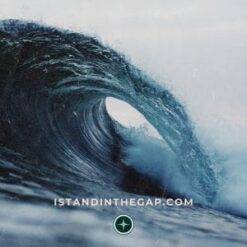 The Unction to Function: A Daily Devotional (1 Kings 19:19-21) » I ...